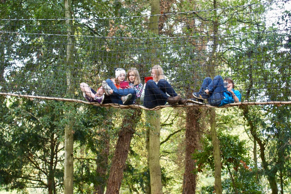 Treetop Walkways — Rope Bridge Projects - UK and Worldwide - Design and ...