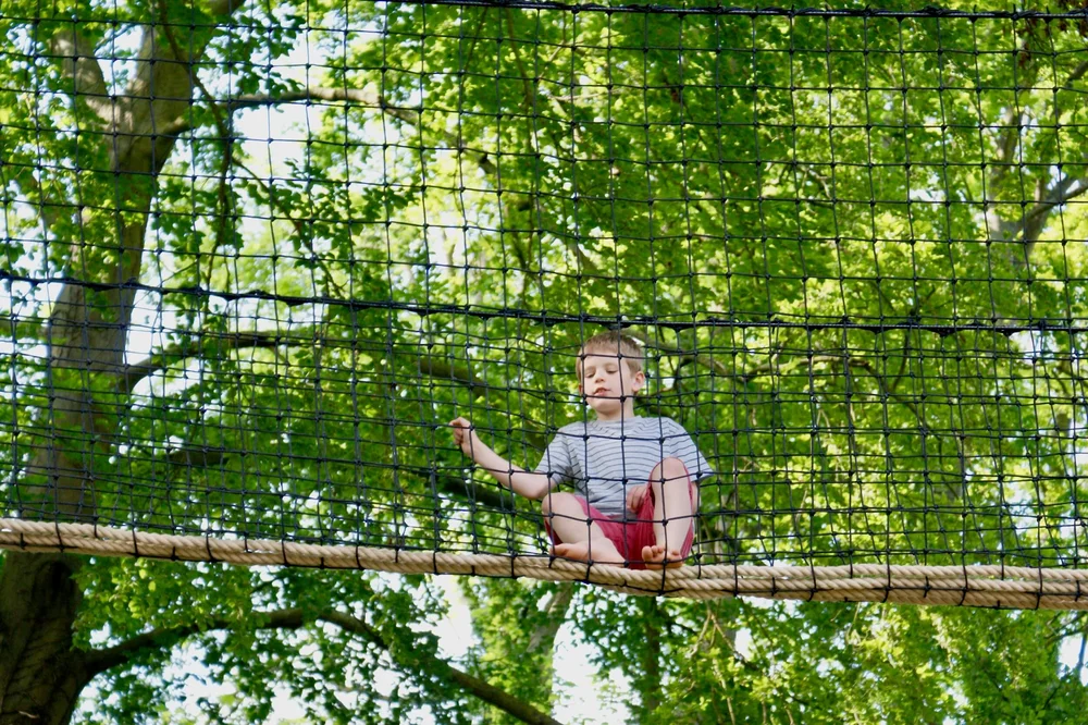 Treetop Walkways — Rope Bridge Projects - UK and Worldwide - Design and ...