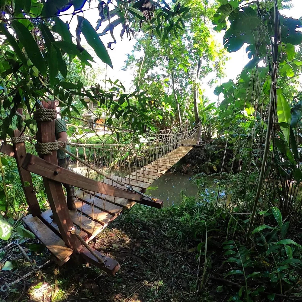 About us...Rope Bridges by Treehouse Life Ltd. "a world away from ...