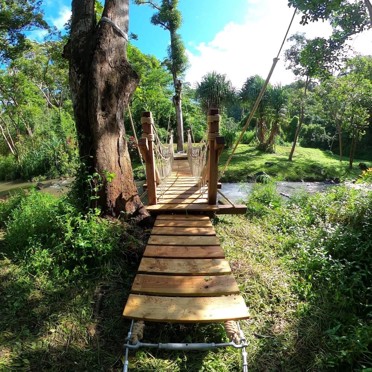 About us...Rope Bridges by Treehouse Life Ltd. "a world away from ...