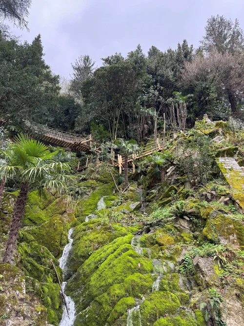 Rope Bridge Projects - UK and Worldwide - Design and Install