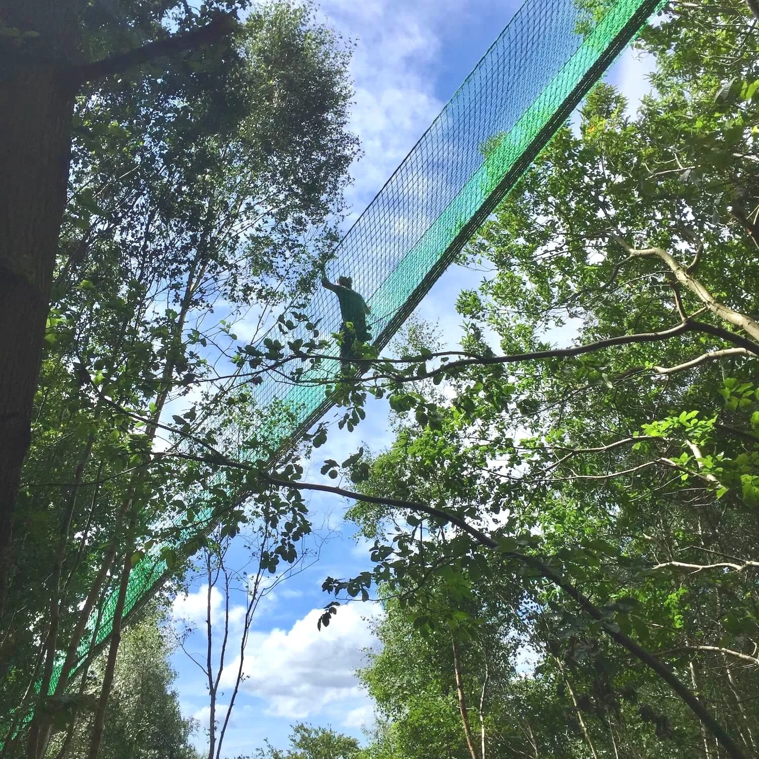 Treetop Walkways — Rope Bridge Projects - UK and Worldwide - Design and ...