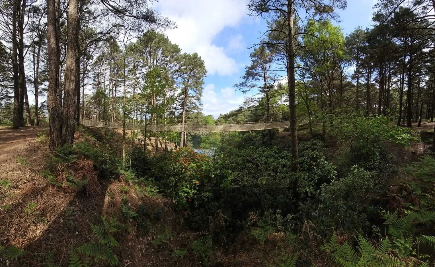 Discovering the Longest Rope Bridge in the UK — Rope Bridge Projects ...