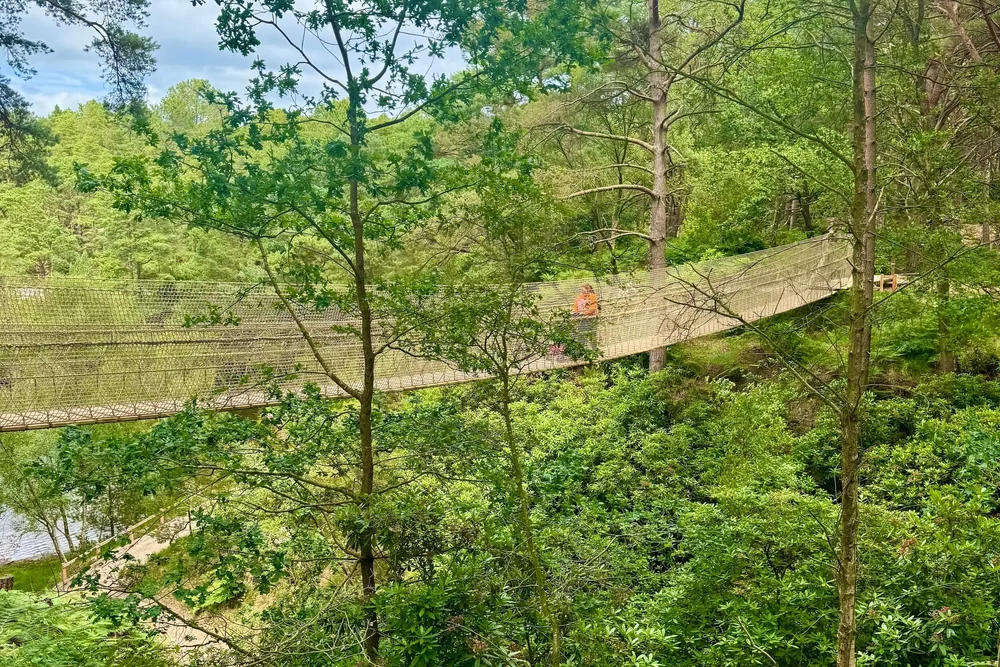 Rope Bridge Projects - UK and Worldwide - Design and Install