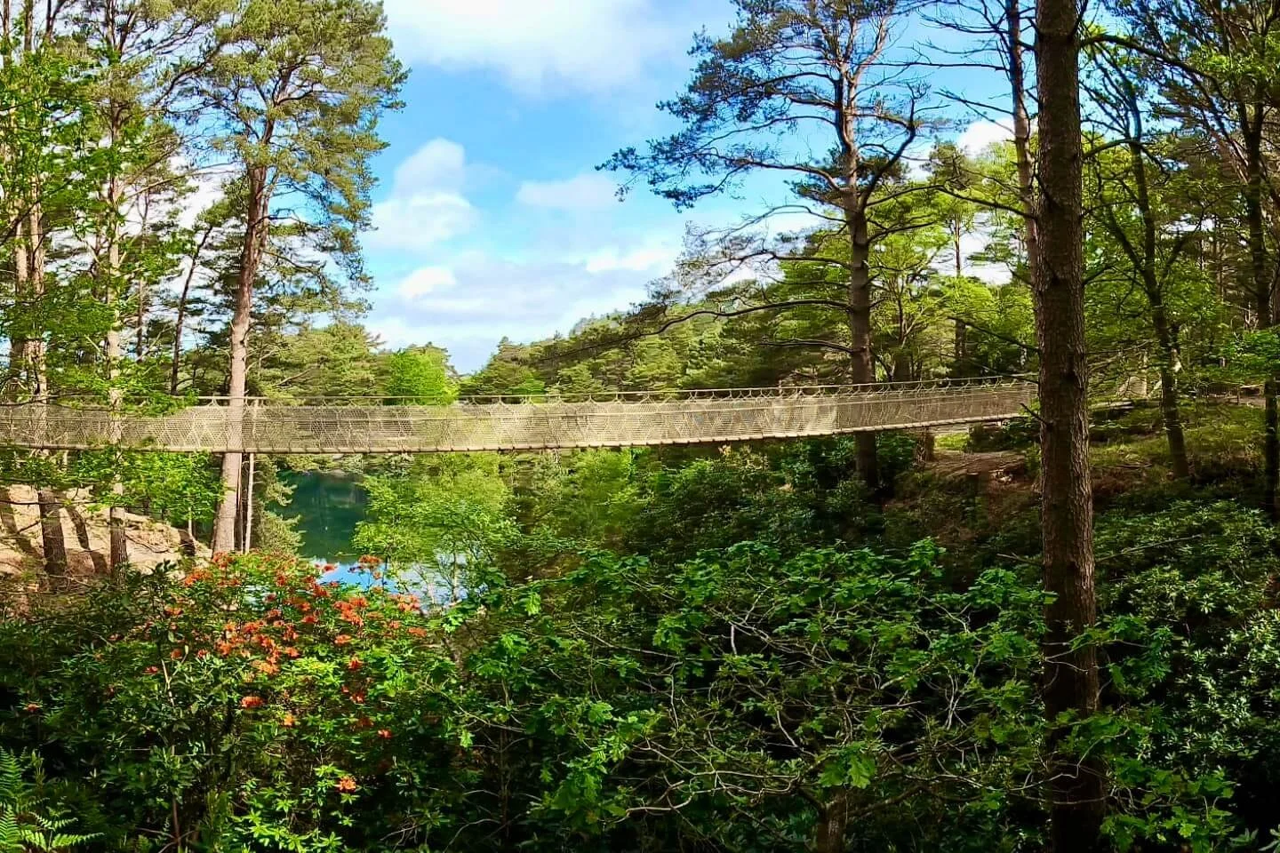 Rope Bridge Projects - UK and Worldwide - Design and Install