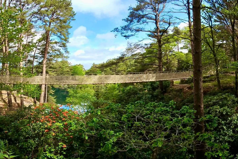 Rope Bridge Projects - UK and Worldwide - Design and Install