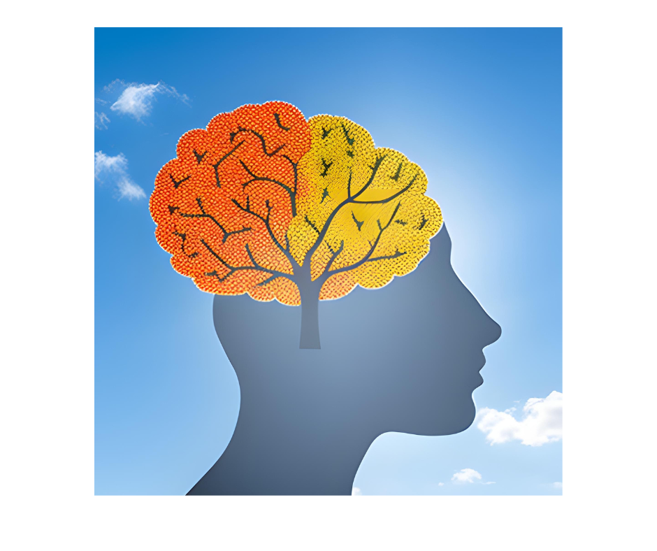 Brain Injury Education Resources — The Brain Injury Association of Ohio