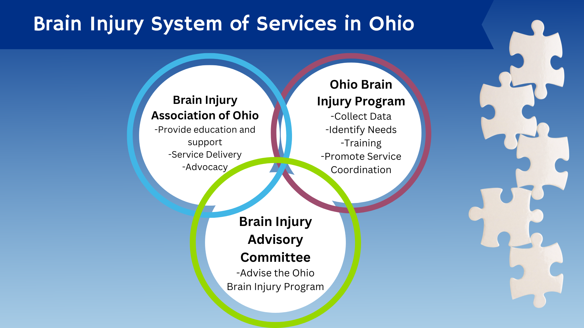 Network of Brain Injury Supports in Ohio — The Brain Injury Association ...