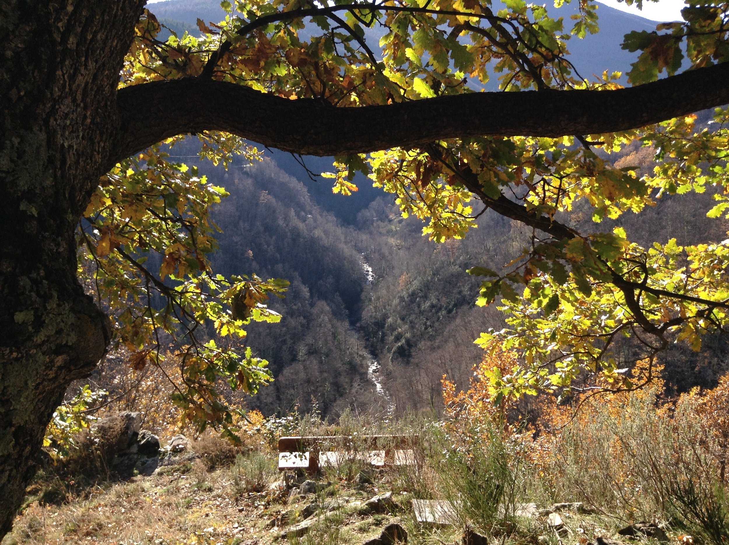 Terre De Sacha — ShantiMayi