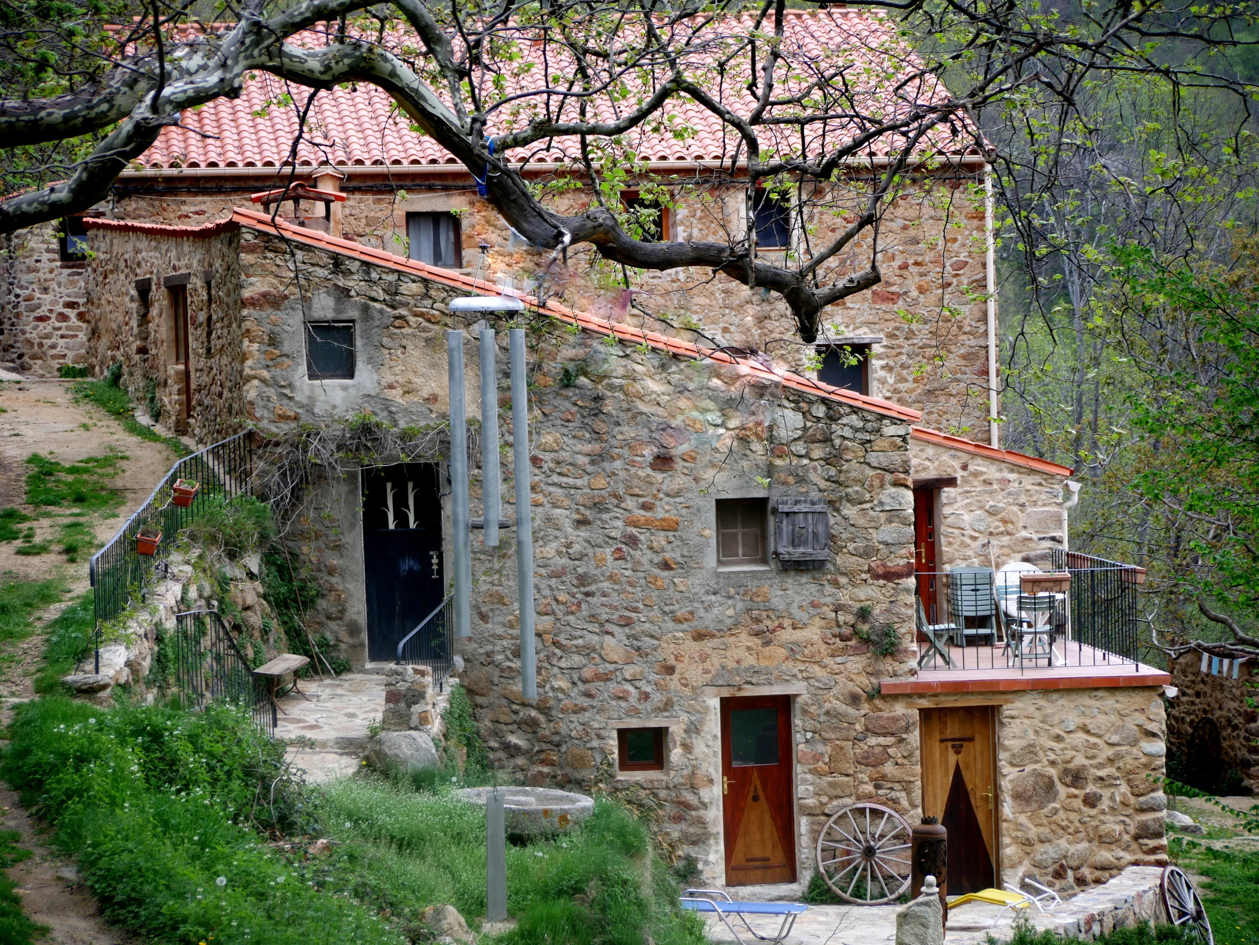 Terre De Sacha — ShantiMayi