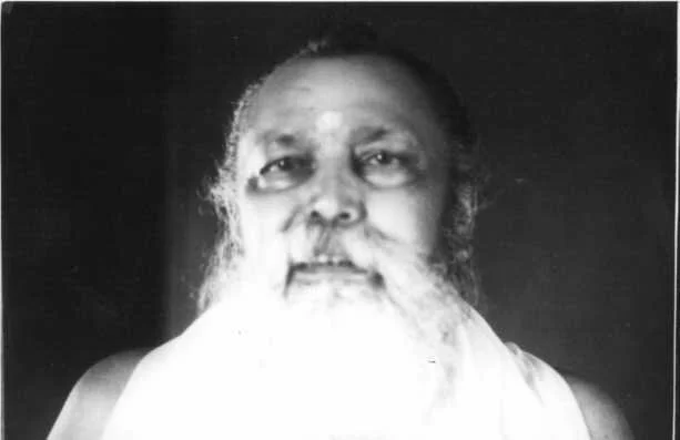 Sacha Lineage — ShantiMayi