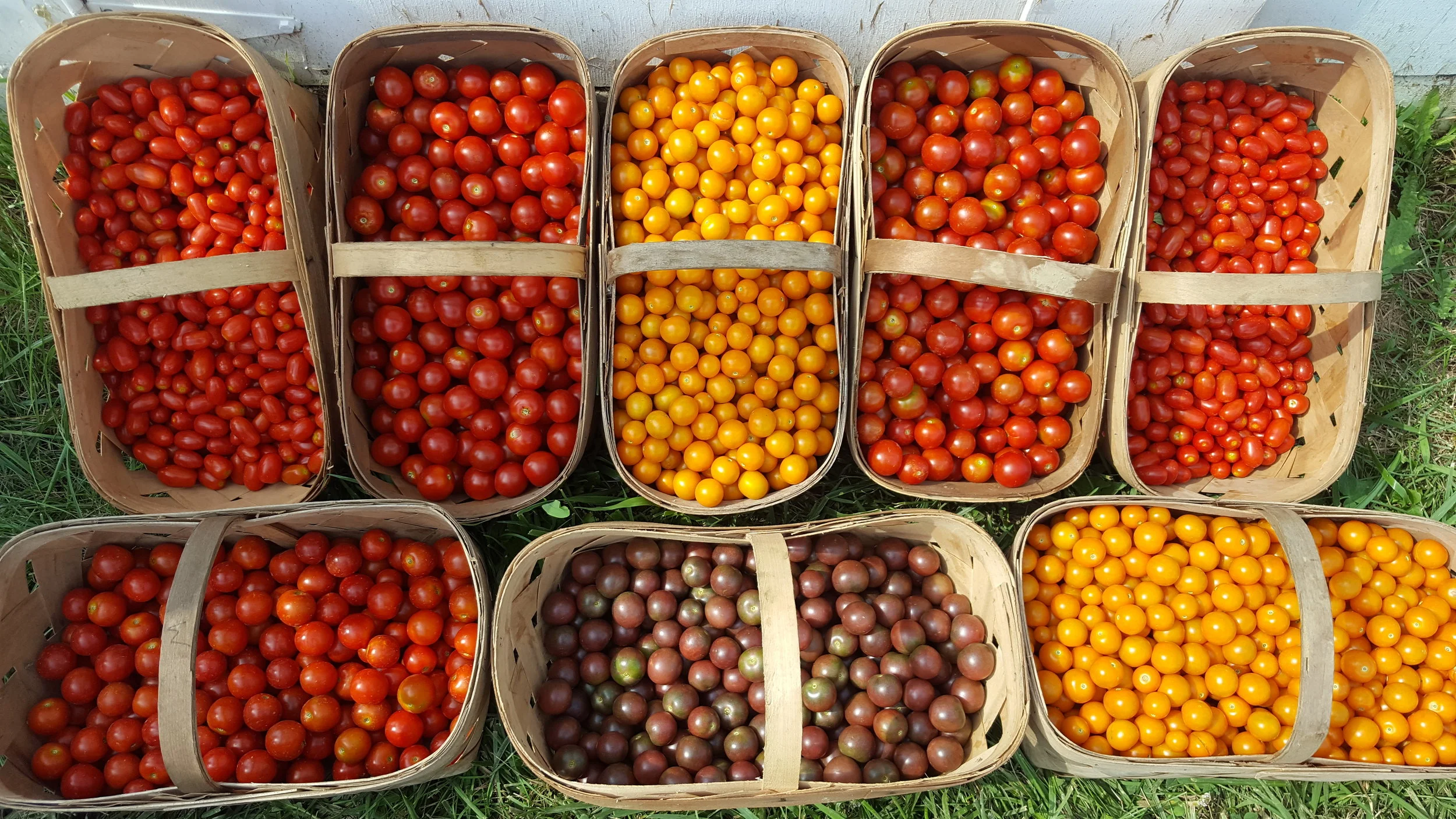 Bird's Haven Farms