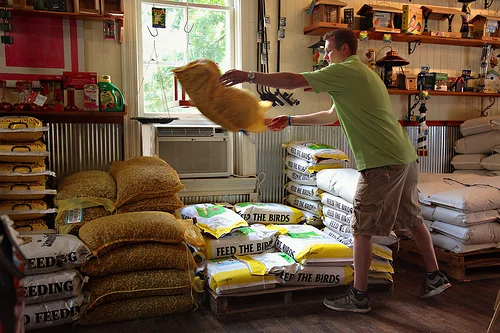 Newtown Feed & Supply