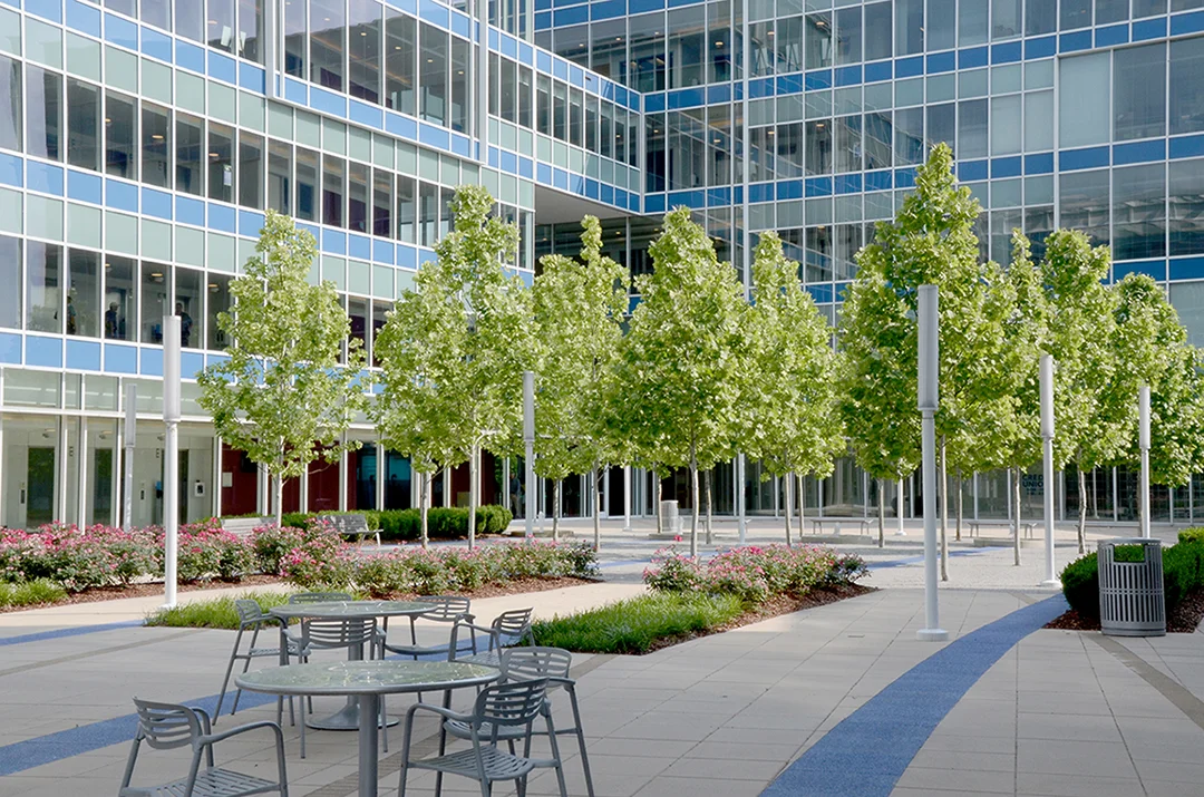 BlueCross BlueShield of Tennessee | HGOR