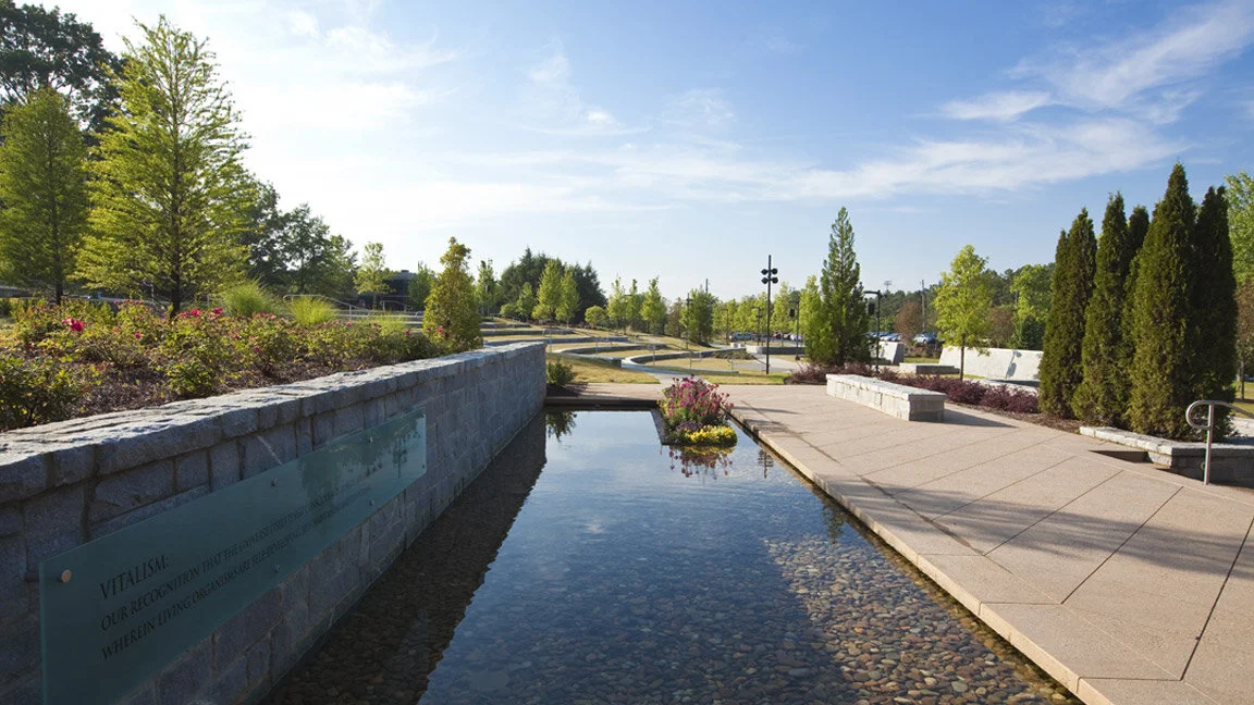 Life University | HGOR