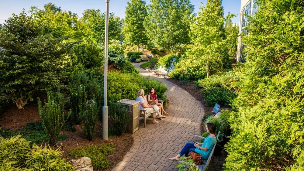 NGMC Gainesville | HGOR