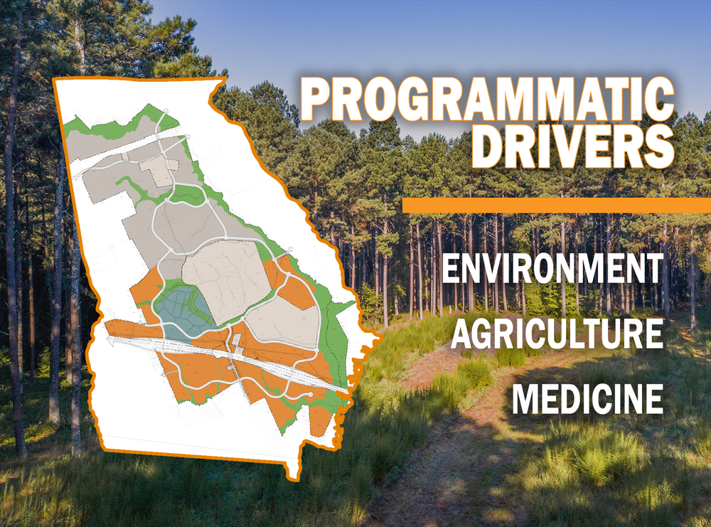 Rowen Master Plan | HGOR