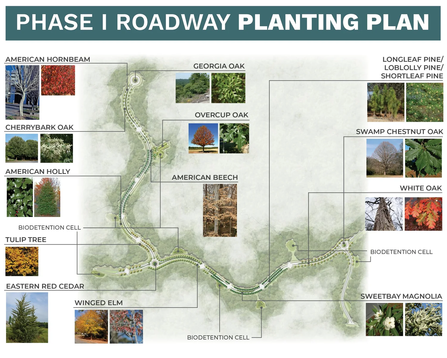 Rowen Master Plan | HGOR