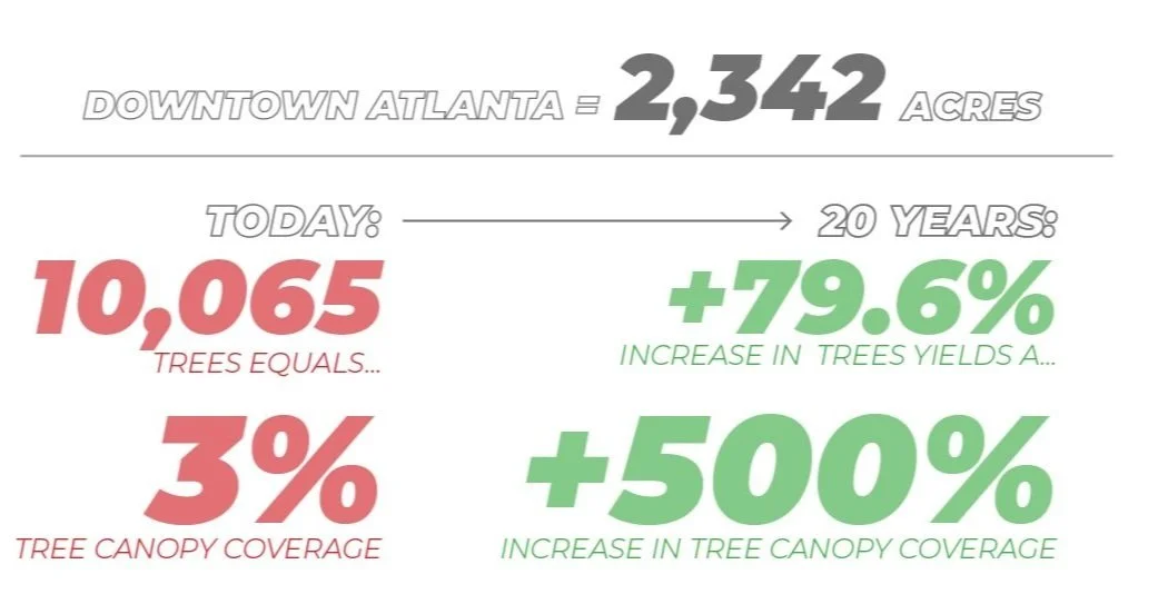 Downtown Atlanta Urban Tree Planting Plan | HGOR