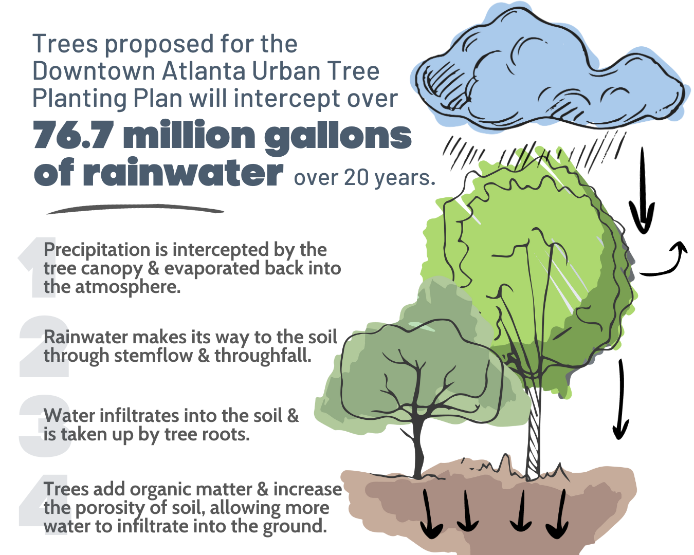Downtown Atlanta Urban Tree Planting Plan | HGOR