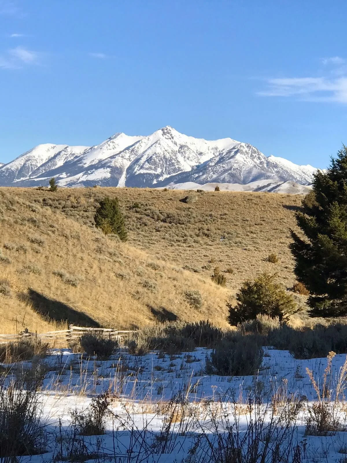 Shadowood | Bridaham Collection | Big Sky Sothebys