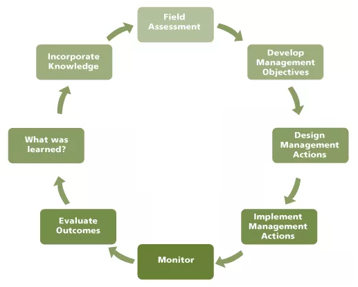 Wildfire Wednesday #176: Evaluating the Effects of Fire (FEMO) — Fire Adapted NM