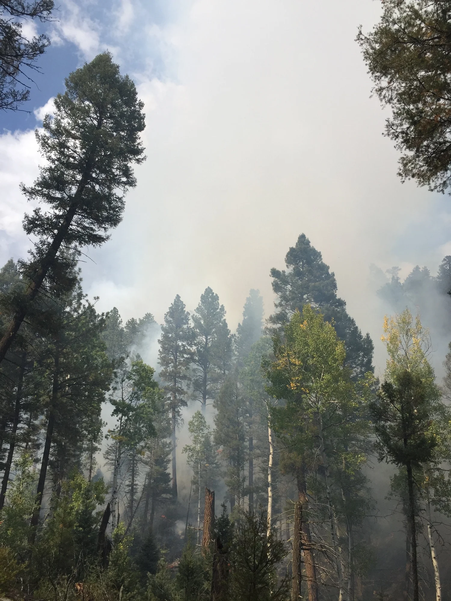 Working together for resilience – the story of the Francisquito and ...