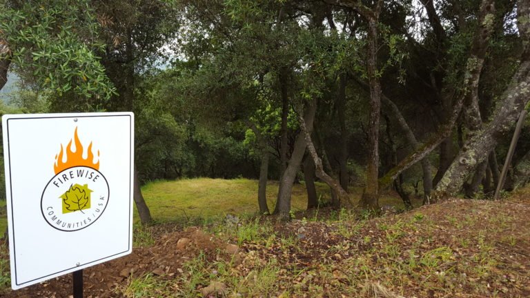 Wildfire Wednesday #96: What is a Fire Adapted Community? — Fire Adapted NM