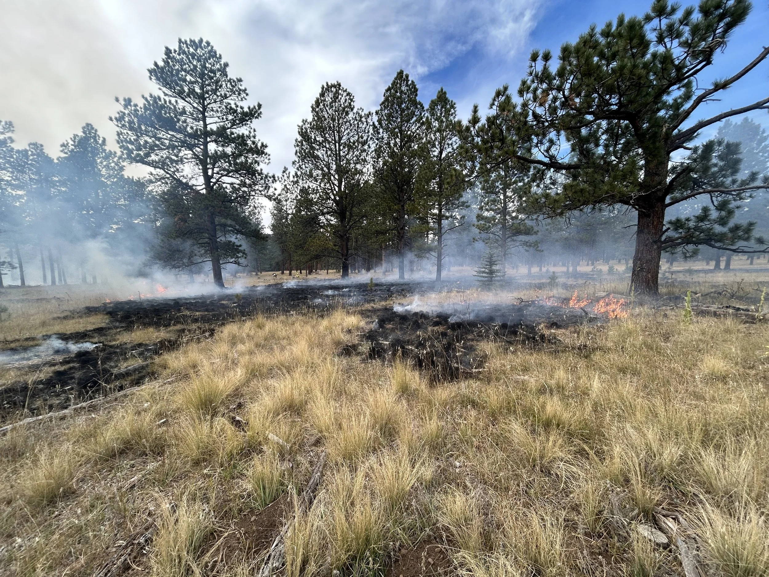 Wildfire Wednesday #176: Evaluating the Effects of Fire (FEMO) — Fire ...