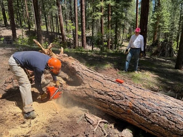 Wildfire Wednesdays #121: Understanding Past, Present, and Future Fire ...