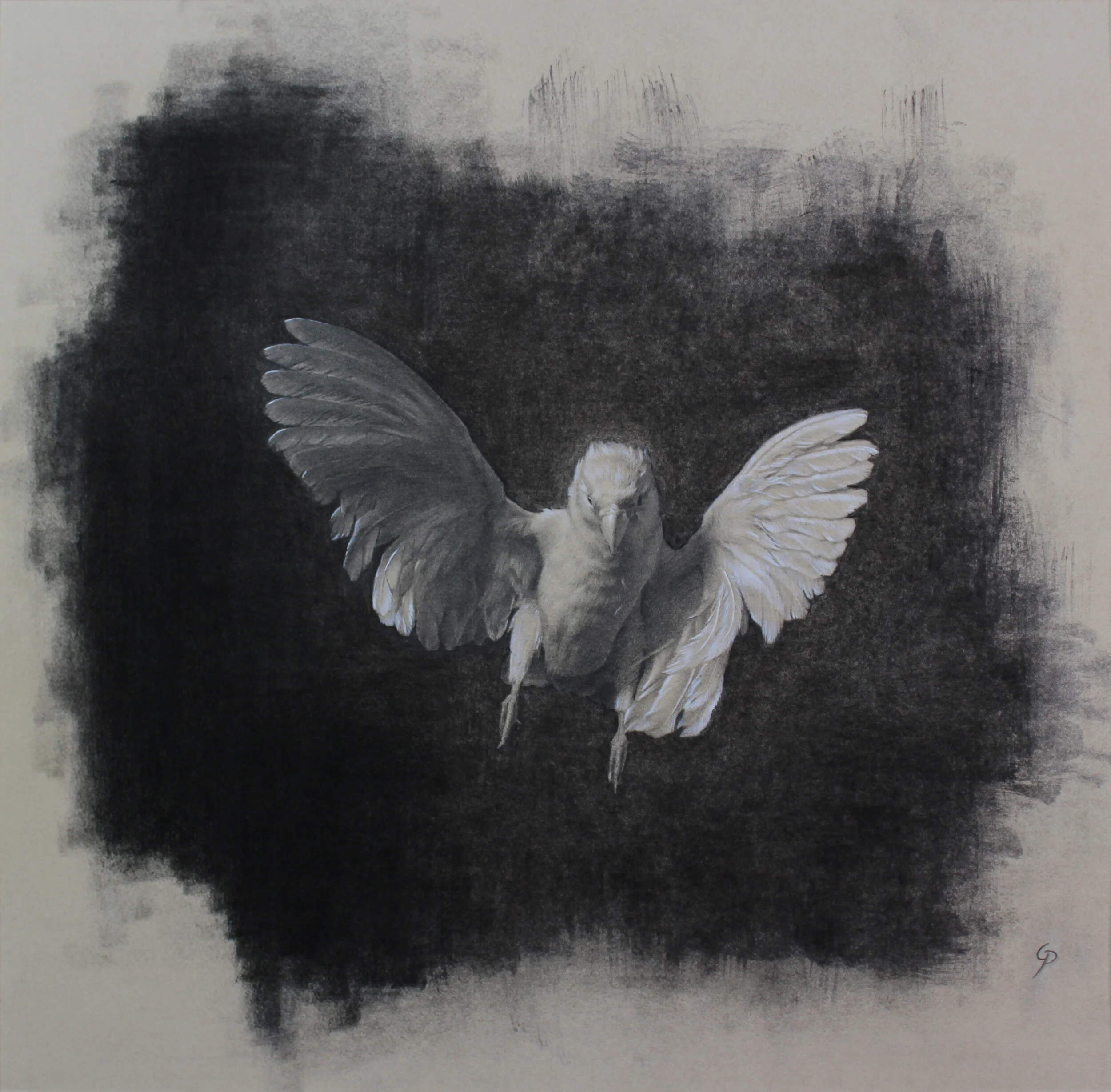 Selected Works — Grant Perry