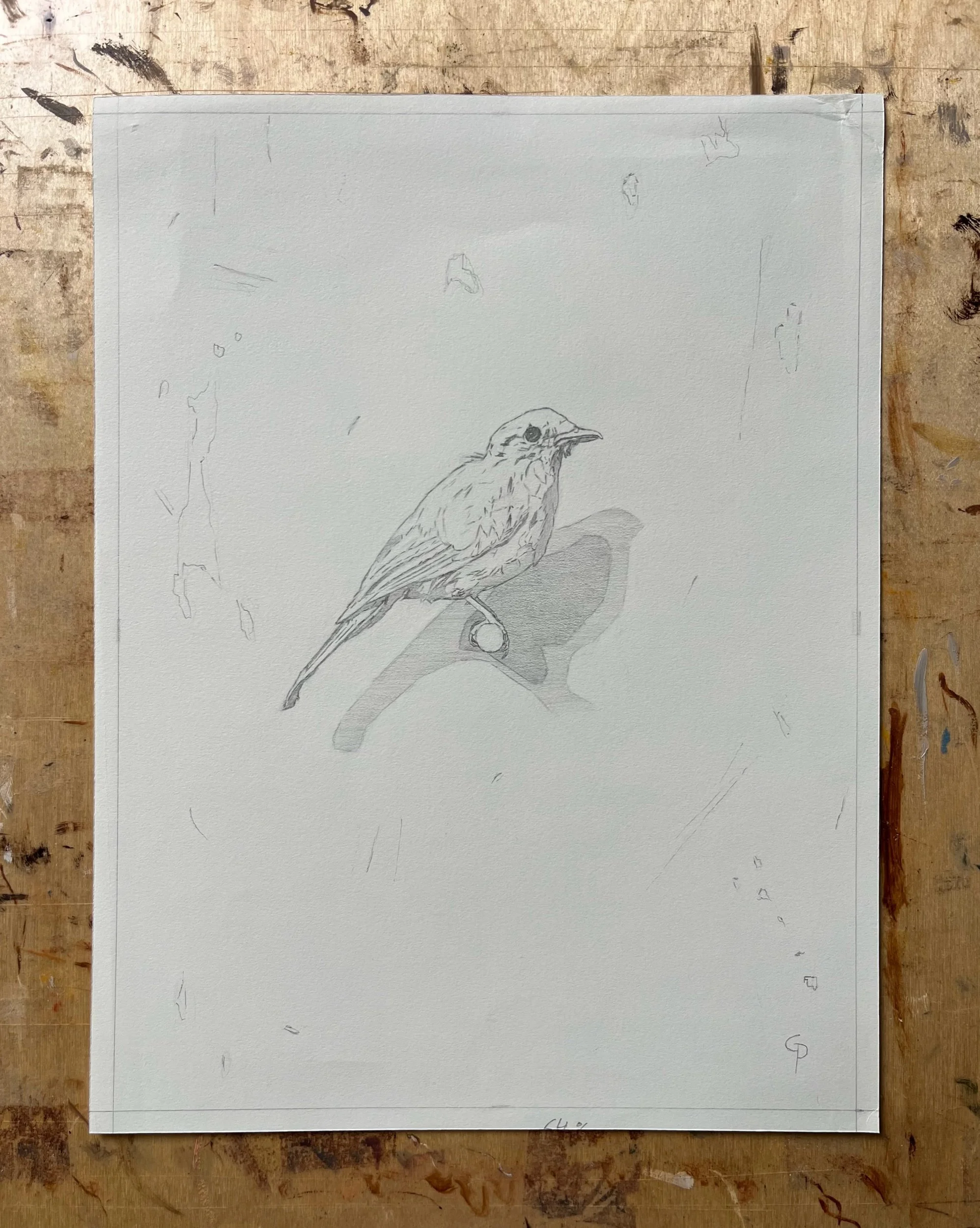 Fine Art for Sale — Grant Perry