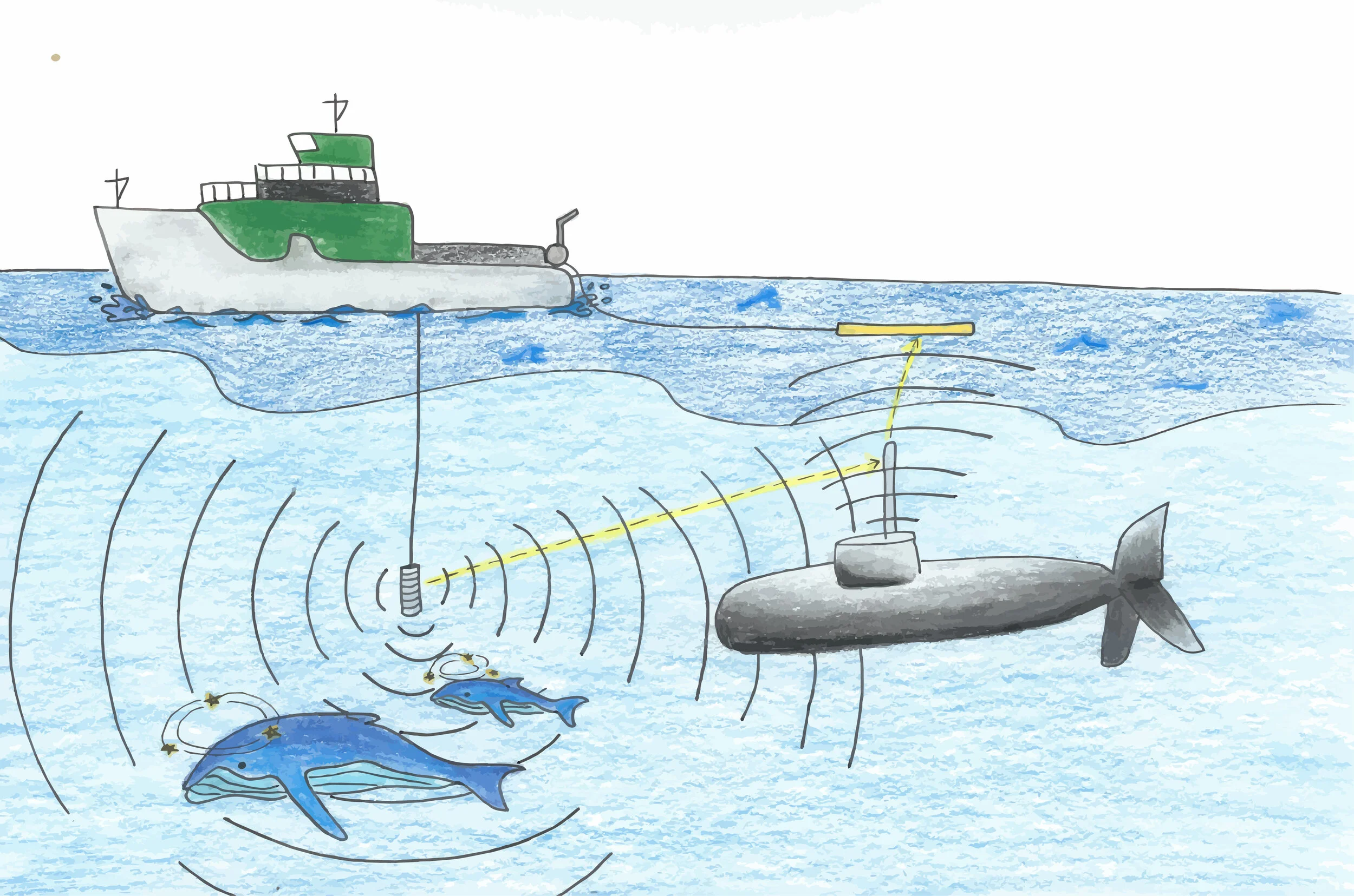 Noise Pollution — Big Blue Ocean Cleanup | Global Ocean Plastic Non-Profit