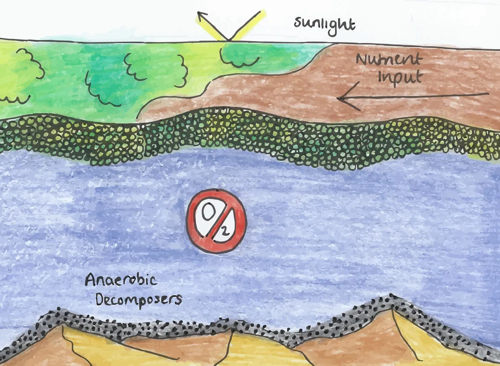 Chemical Pollution — Big Blue Ocean Cleanup | Global Ocean Plastic Non ...