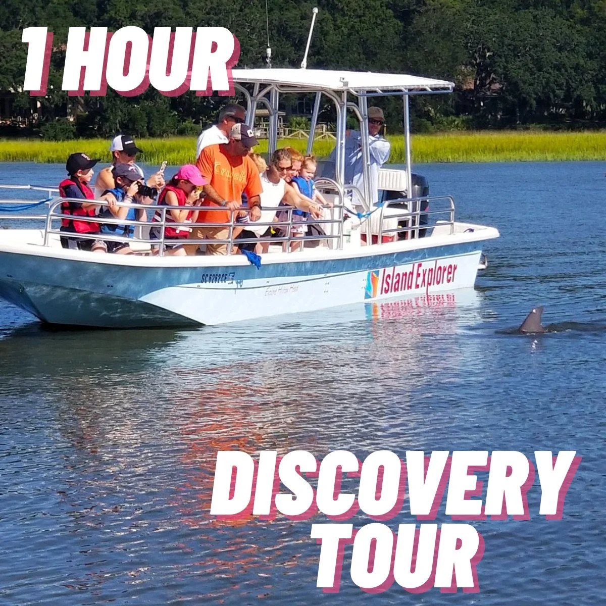 Dolphin Tours - Island Life Bike Rentals & Dolphin Tours