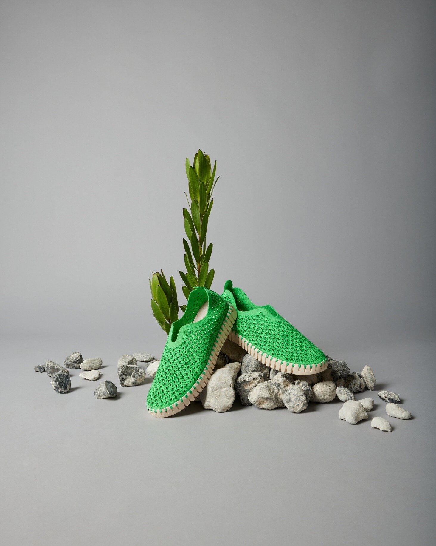 Home — Janor Imports