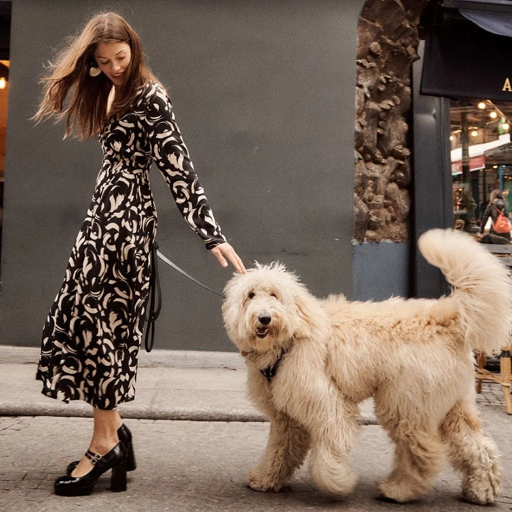 Brands — Janor Imports