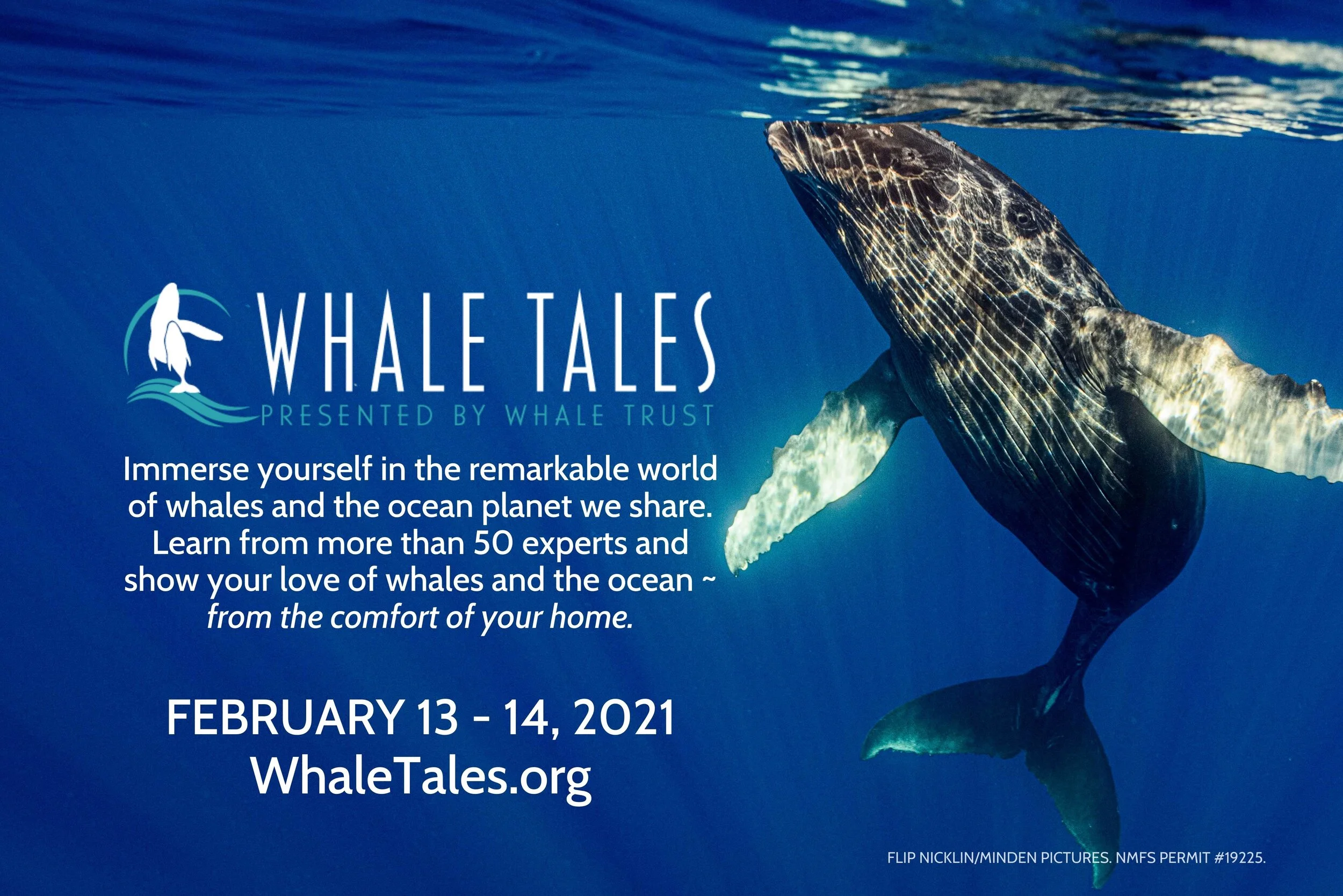 WHALE TALES 2021 — Jupiter Research Foundation