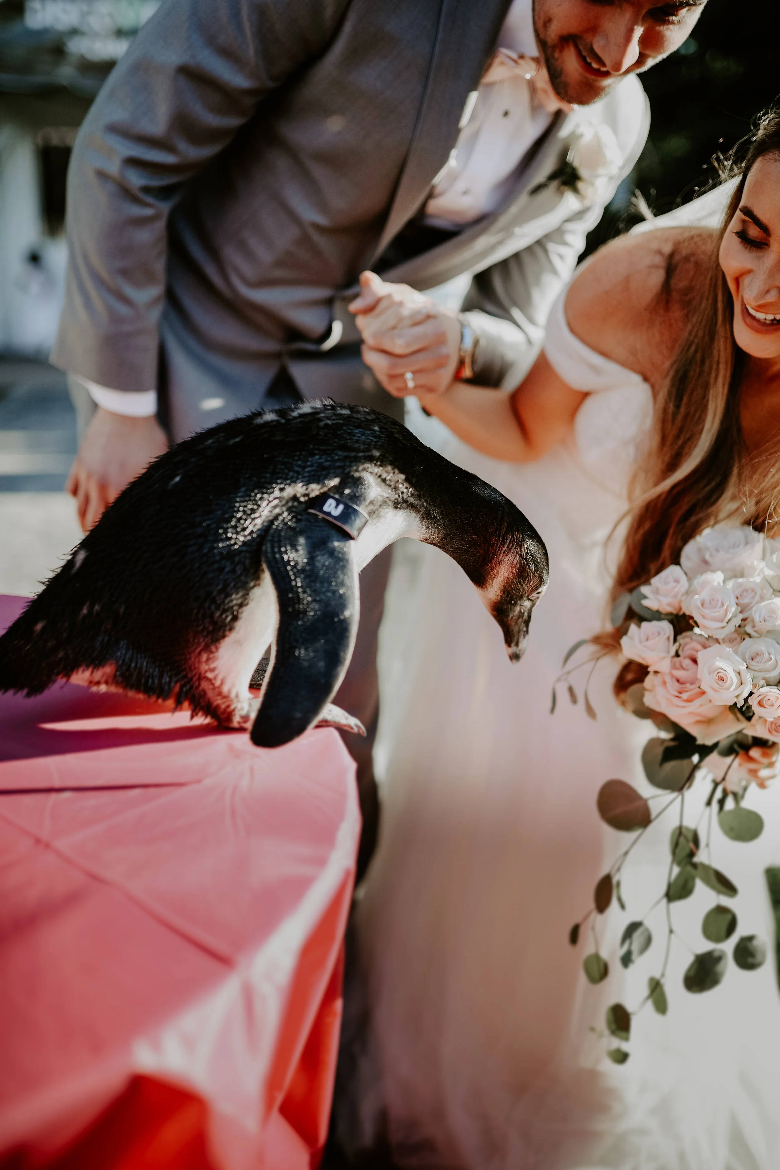 Genesis + Octavio Wedding — Kaitlyn Larsen Photography | RVA Wedding ...