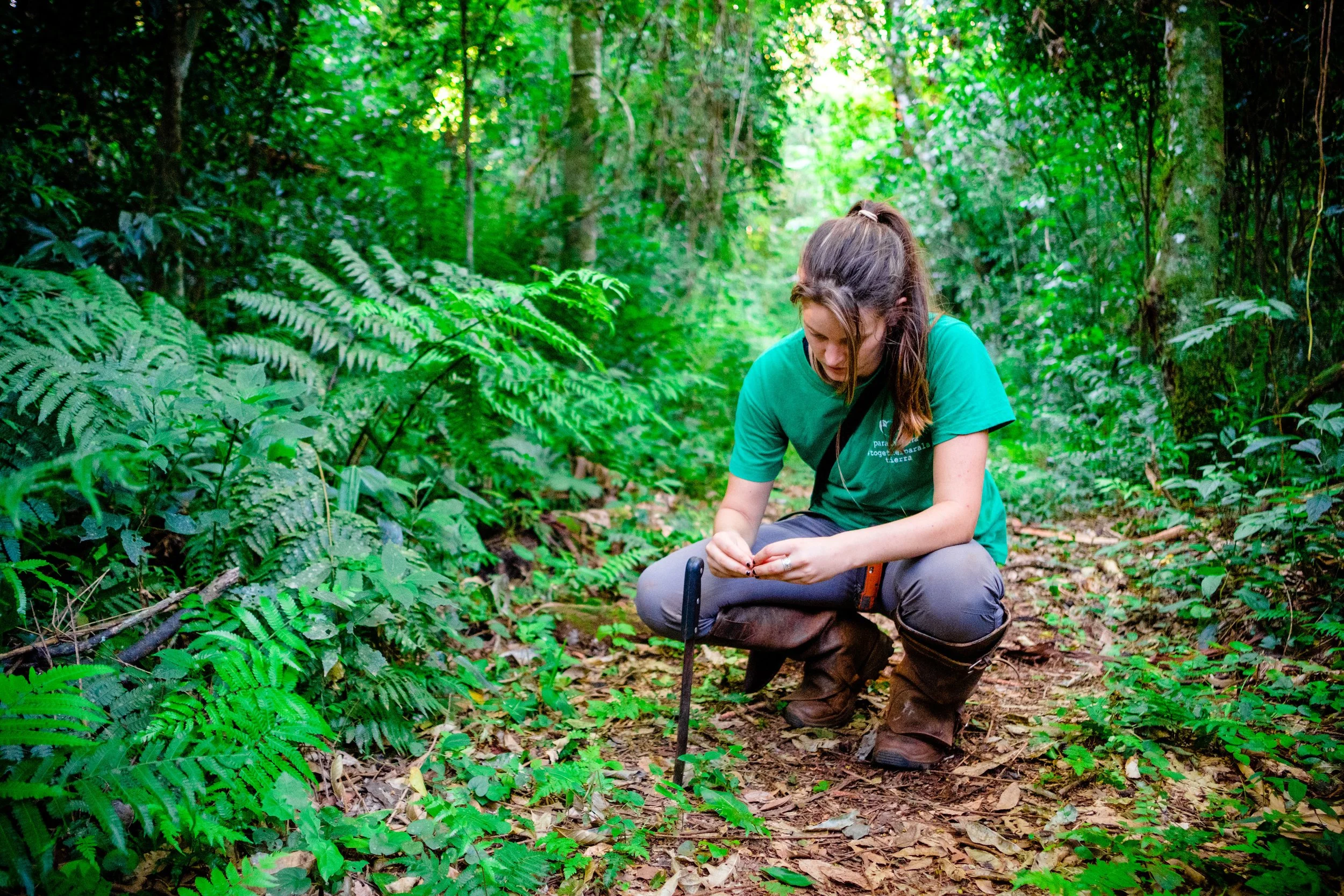 Primatology Online Course — Para La Tierra