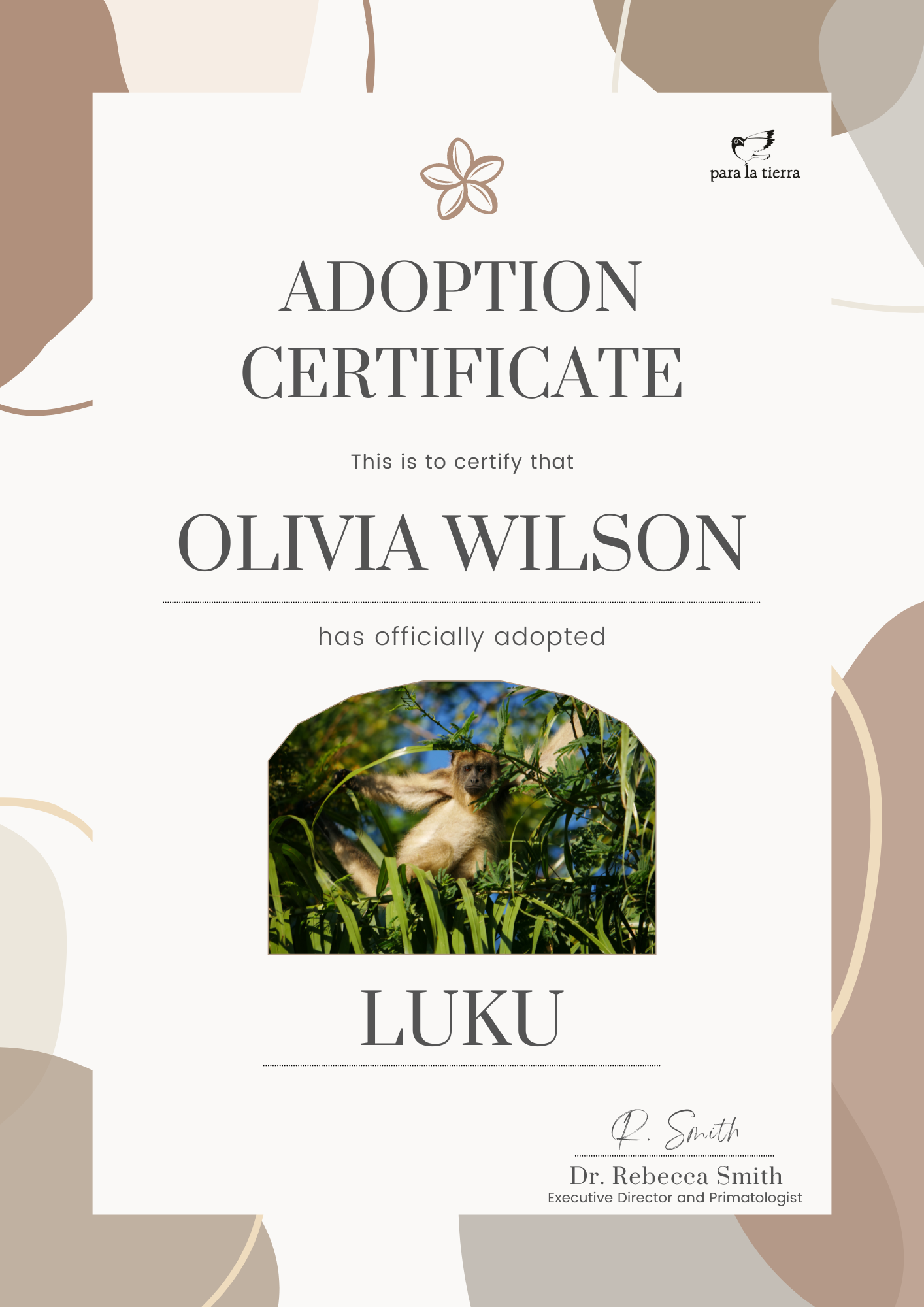 Adopt a monkey — Para La Tierra