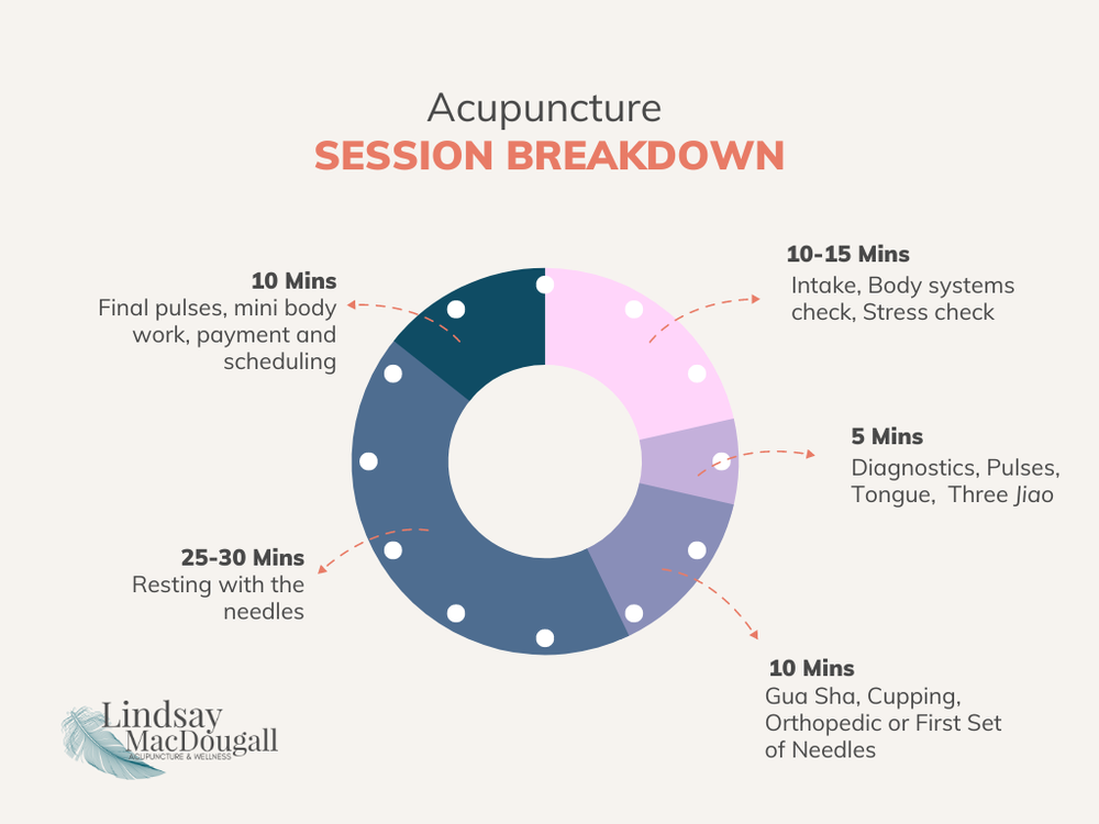 Treatment Roadmap — Lindsay MacDougall Acupuncture & Wellness