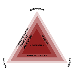 Organization Information — NC Triangle DSA