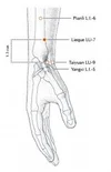 5 Acupressure Points for Immune Support — Balance Acupuncture ...
