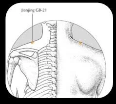 7 Acupressure Points for Stress + Anxiety Relief — Balance Acupuncture ...