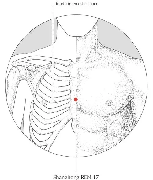 7 Acupressure Points for Stress + Anxiety Relief — Balance Acupuncture ...