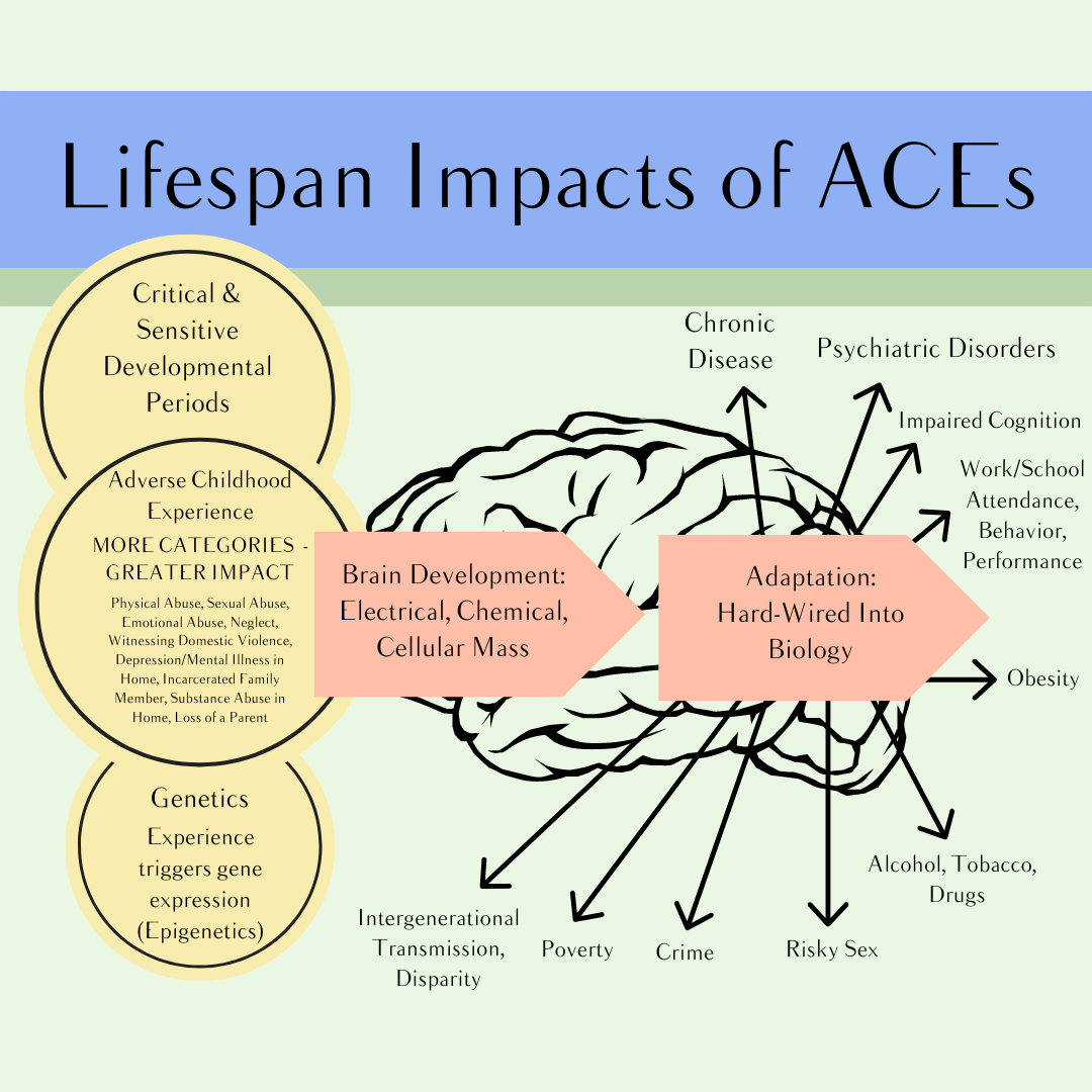 Biofield Science and Energy Therapy Interventions