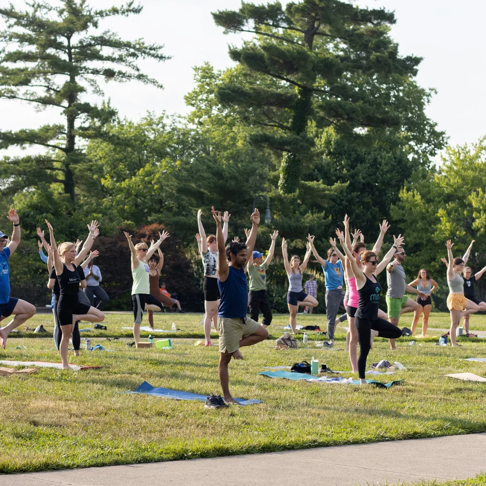 Project Yoga