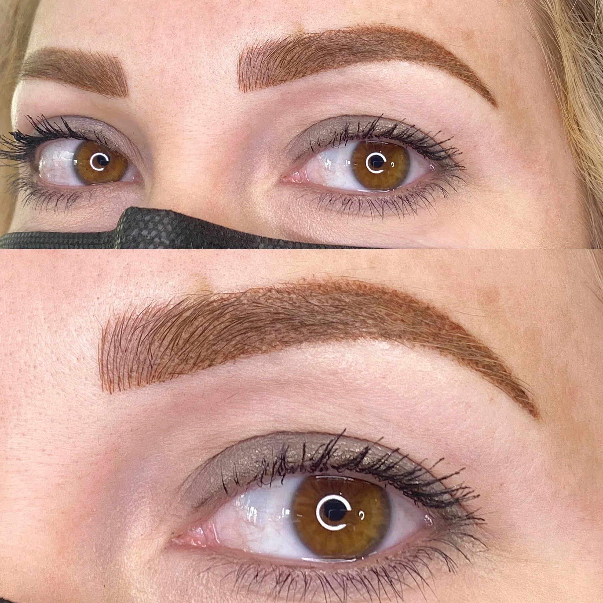 Combo and Shaded Brows in Philadelphia