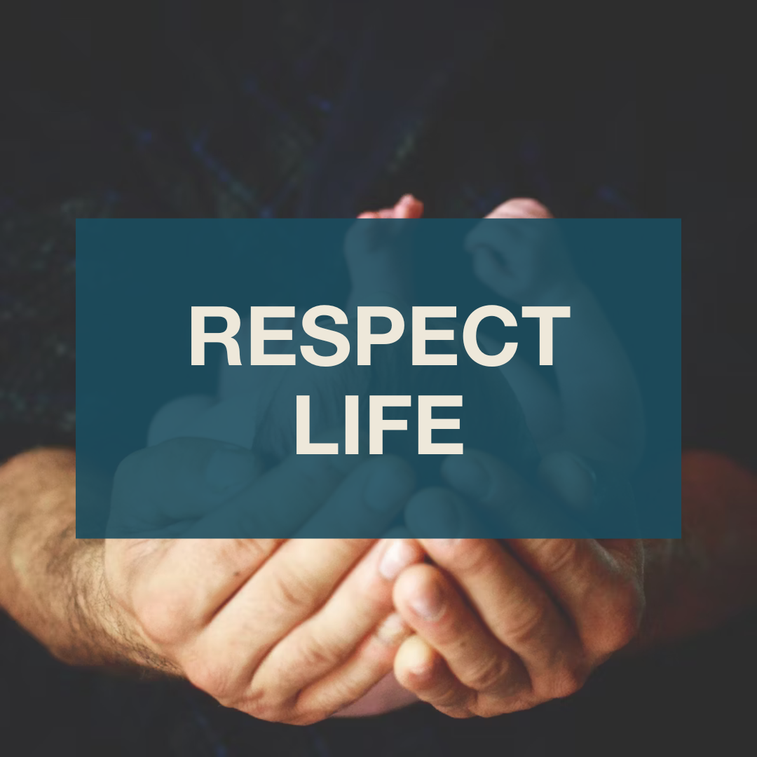 Care & Support — St. Ann Catholic Parish